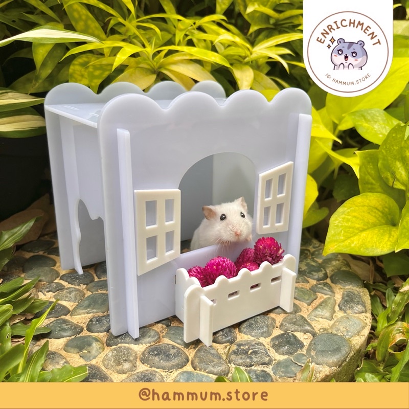 A4 Acrylic Hamster House | Garden House | Acrylic Hamster Hideout ...