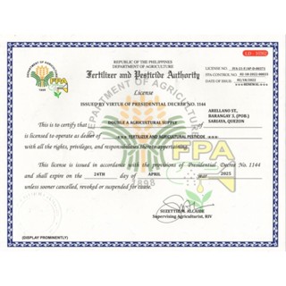 Calixto F1 Hybrid Eggplant 50 grams - East West Seed | Shopee Philippines