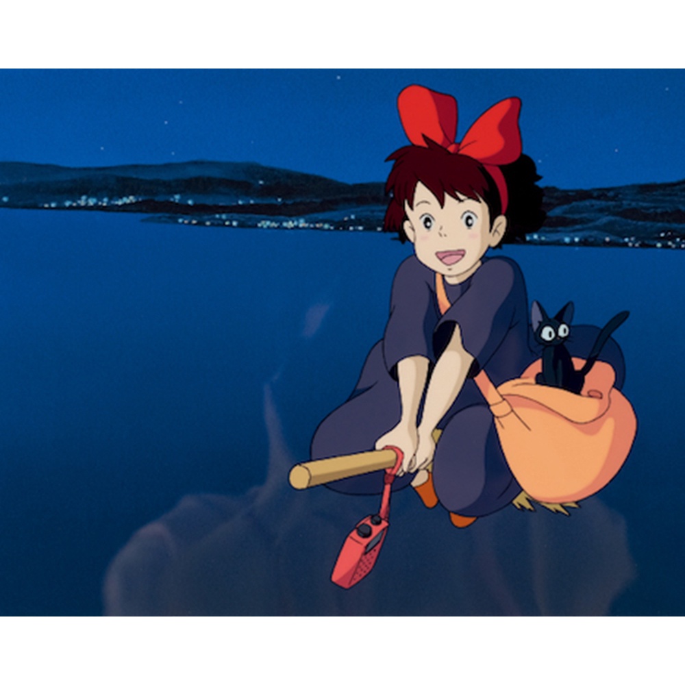 [ORFON] Paint by numbers 40*50cm DIY frame hand-painted by Hayao ...