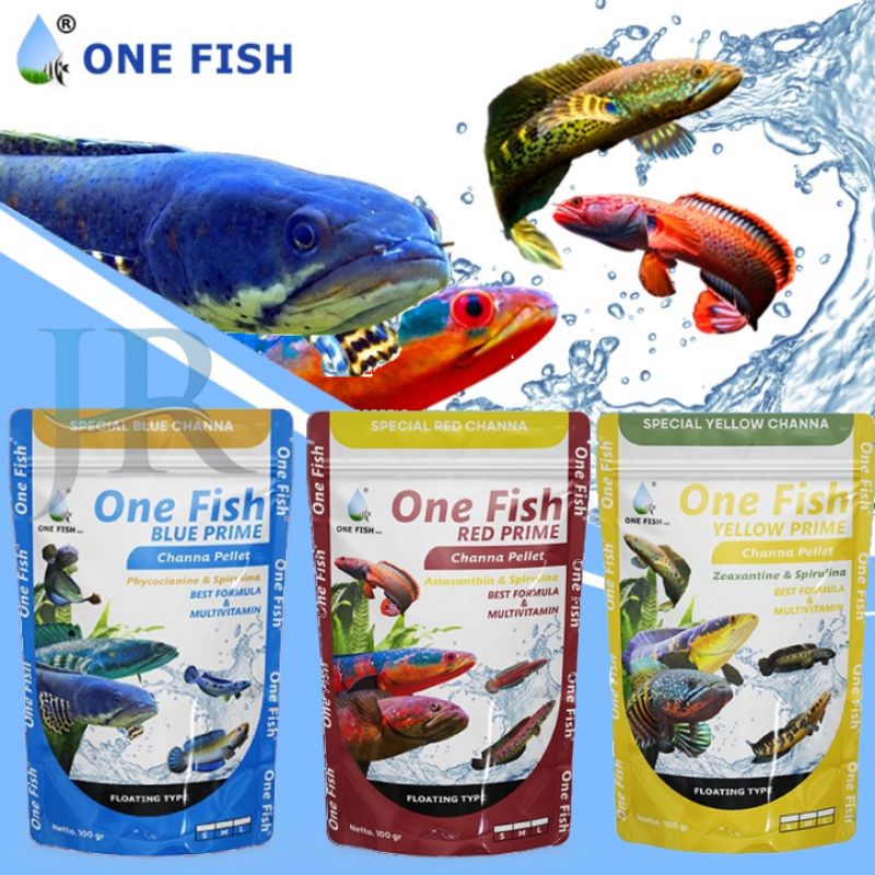Channa red yellow blue prime fish pellet feed One fish 100 grams ...