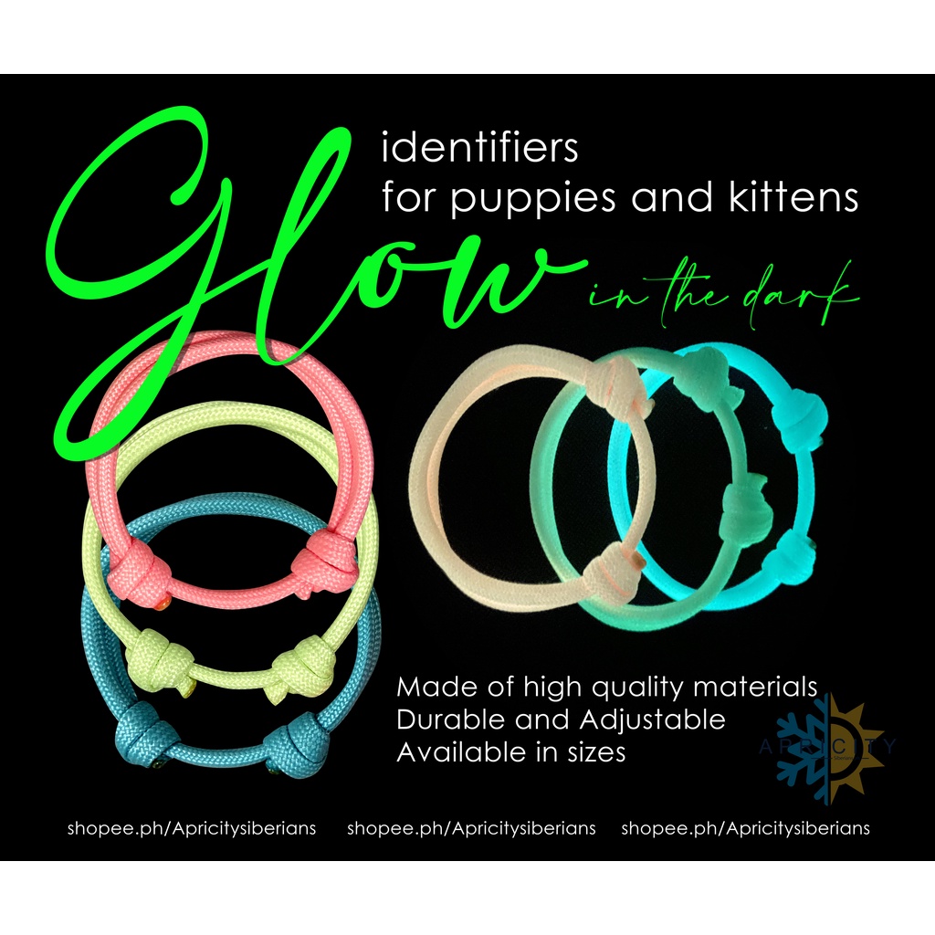 (1PC) GLOW in the dark Collar Identifiers for newborn dogs and cats ...