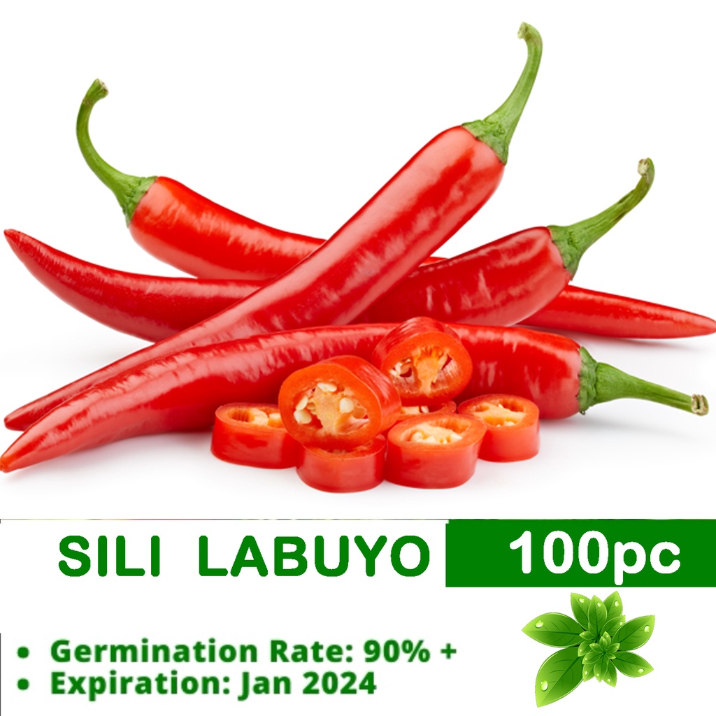 Vegetables Seeds kamatis talong pechay ampalaya sigarilyas upo lettuce ...