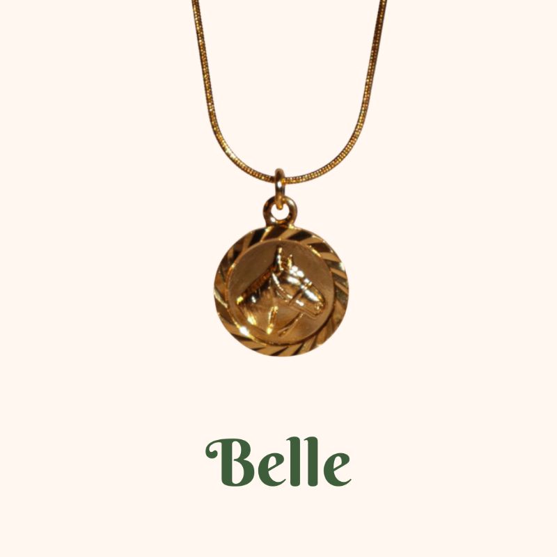 Belle Coin Necklace (Stainless Steel) | Shopee Philippines