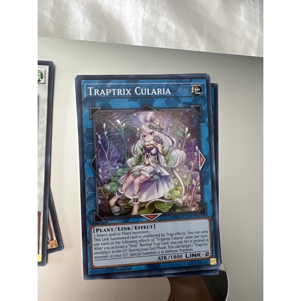 traptrix cularia super | Shopee Philippines