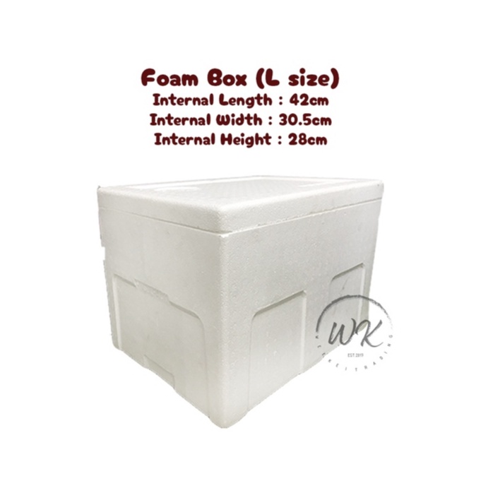 Foam Box for Frozen Items / Cooler Box / Styrofoam Ice Box | Shopee Philippines