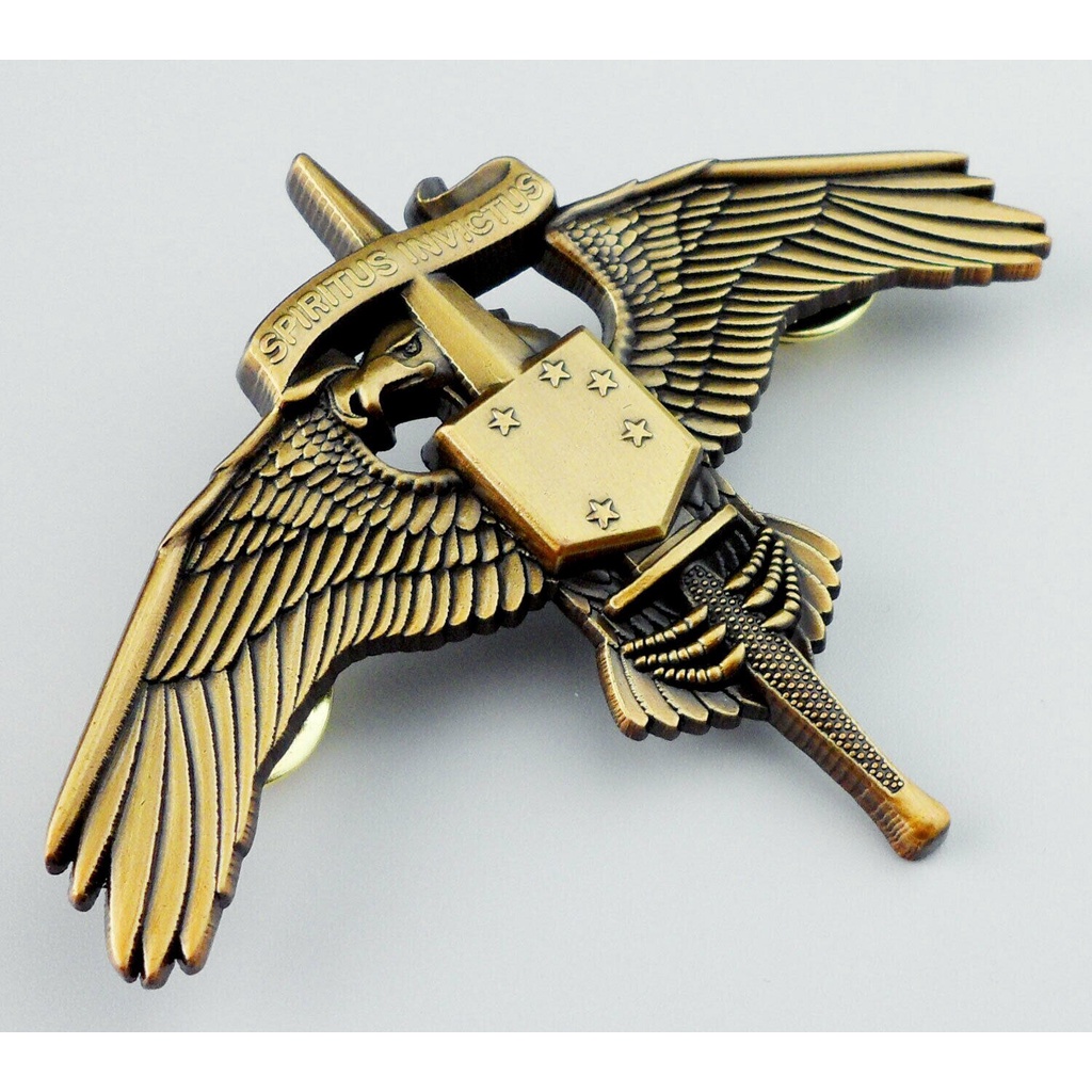 US Marine Raider Insignia USMC Special Operations MARSOC Badge Pin 1730 ...