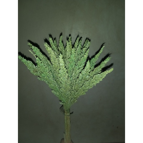 Trigo grass per bundle (₱40 per bundle) | Shopee Philippines