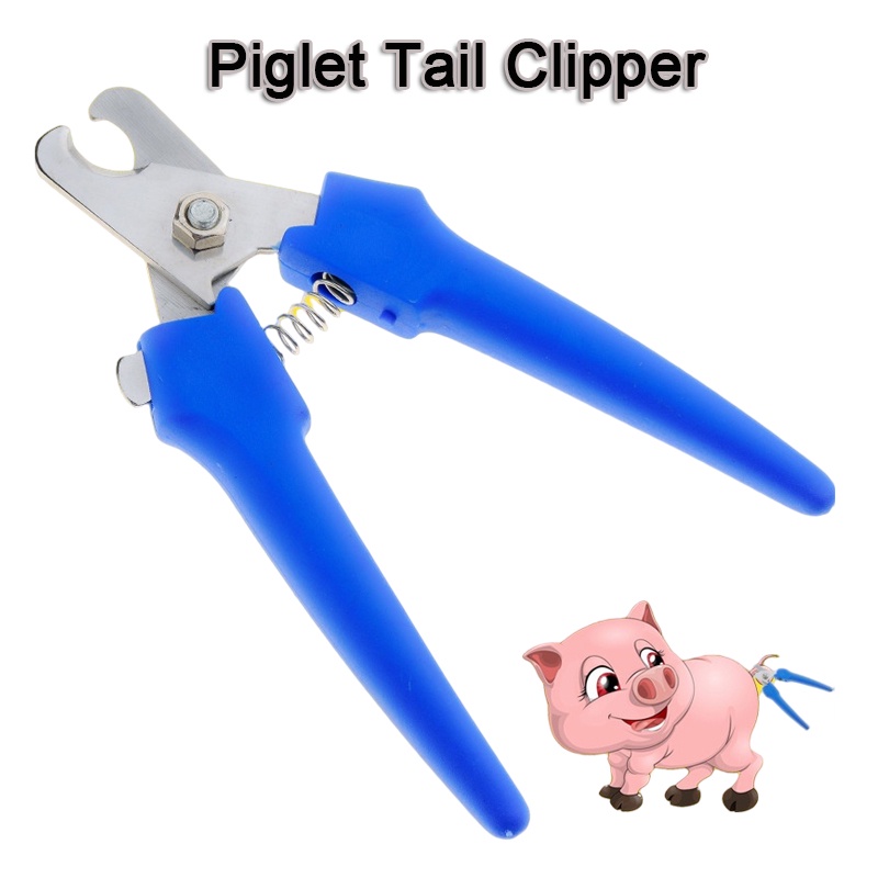 4 In 1 Piglet tool Kit (Piglets teeth cutter + Pig Tail cutter ...