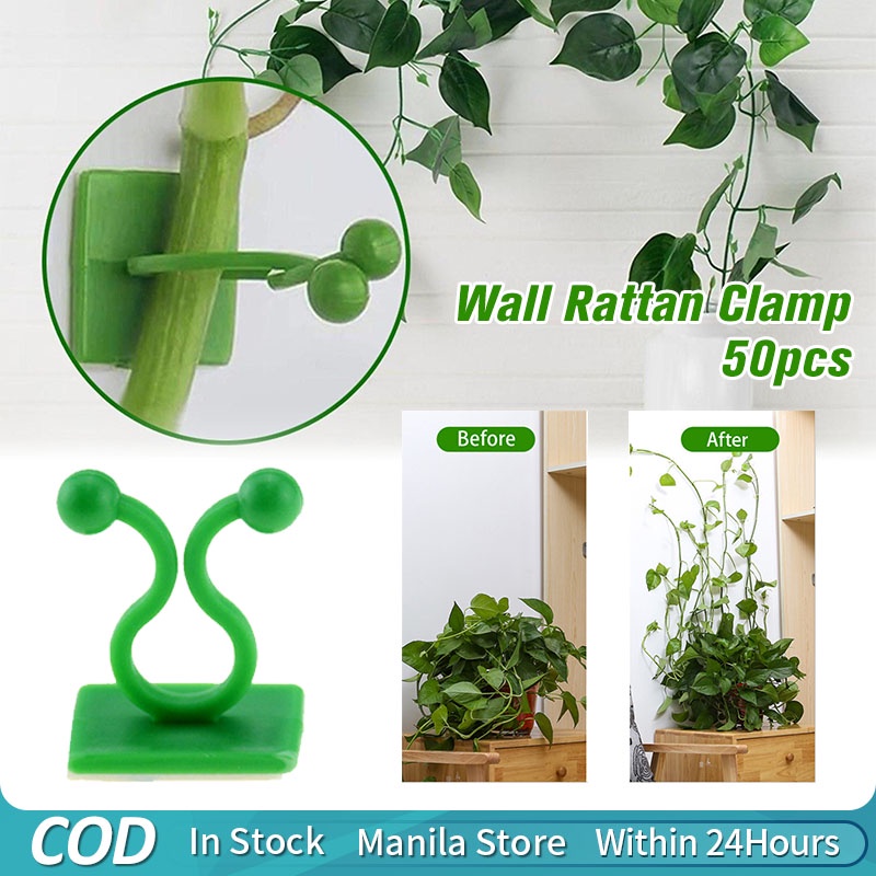 50pcs Plant Clips Self-Adhesive Plant Climbing Wall Fixture Clips Plant ...