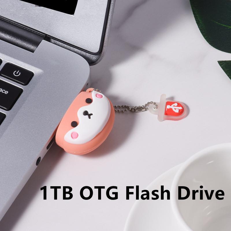 1TB USB OTG Flash Drive Cute Cartoon Memory Stick Dinosaur Pen Drive ...
