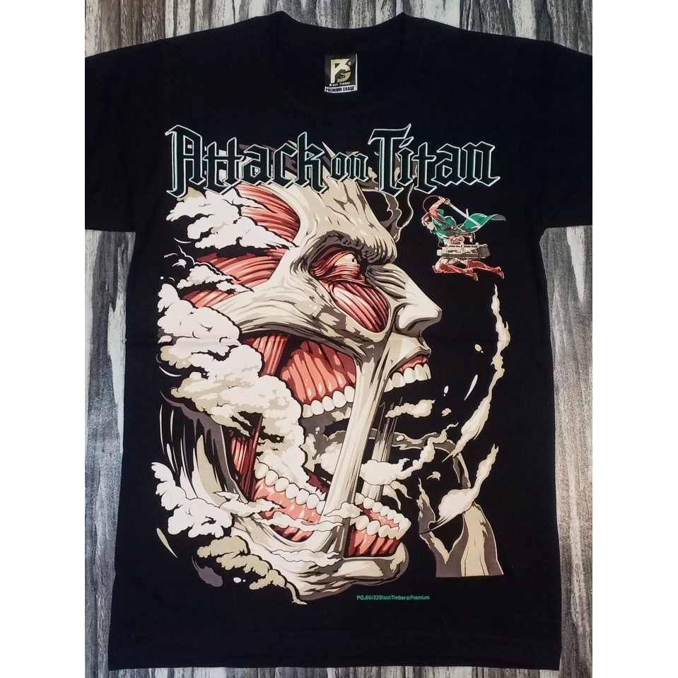 PG66 ATTACK ON TITAN JAPANESE MANGA SERIES ANIME FANART COLLECTION ...