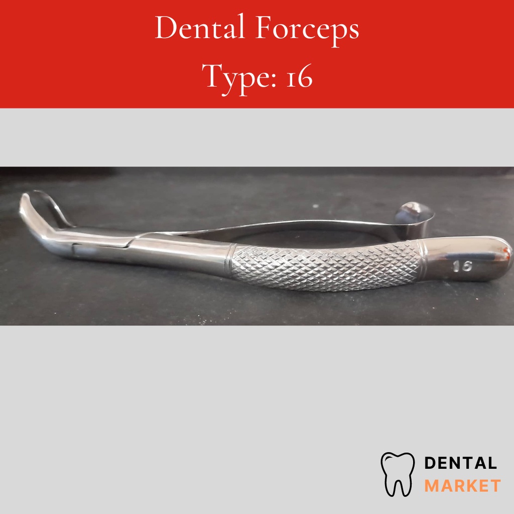 Dental Forceps #16, Pakistan, Dental Market Supply | Shopee Philippines