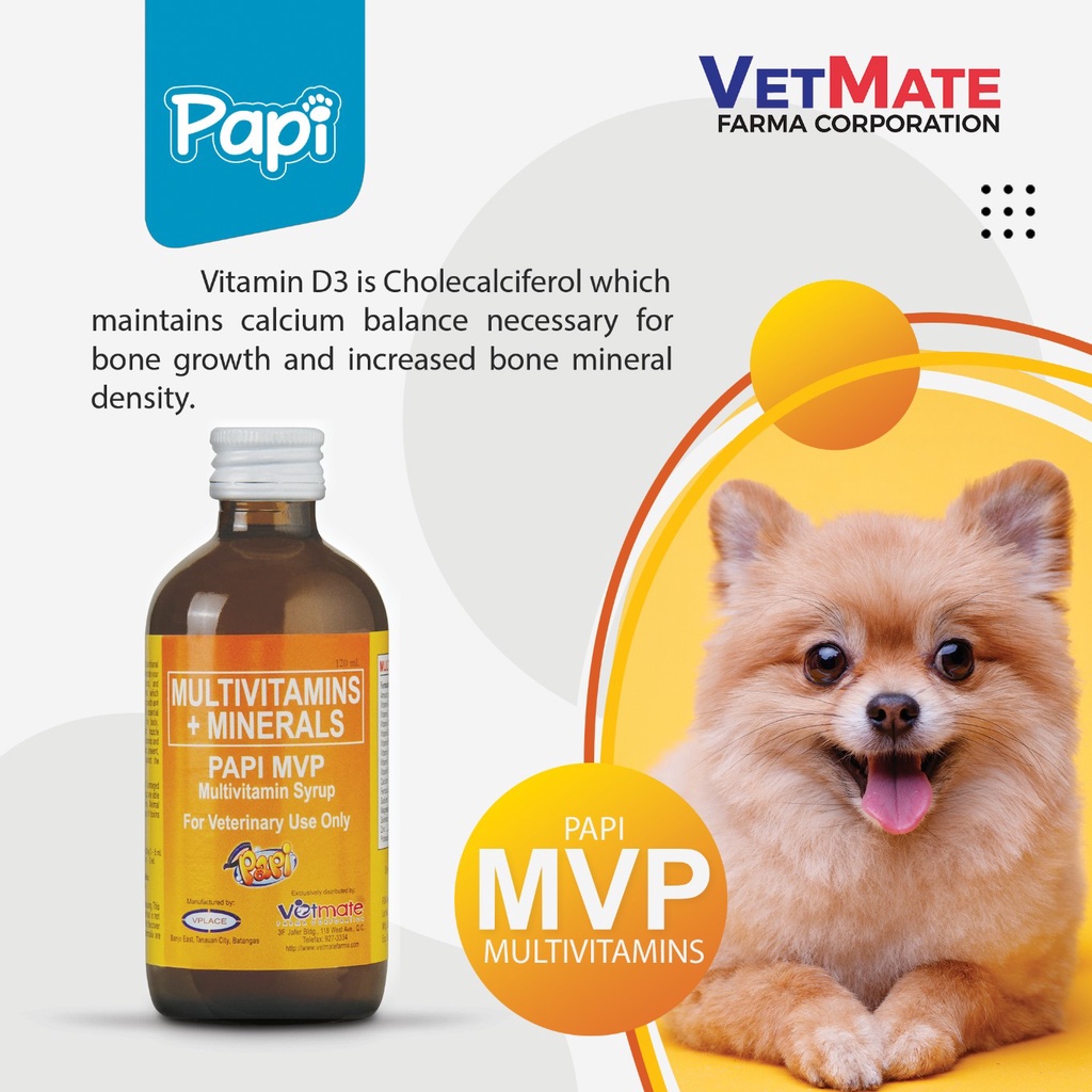 Papi MVP Multivitamins Syrup, Food Suplement 120ML | Shopee Philippines