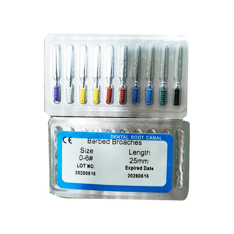10Pcs/pack Dental Root Canal Cleaning Barbed Broaches | Shopee Philippines