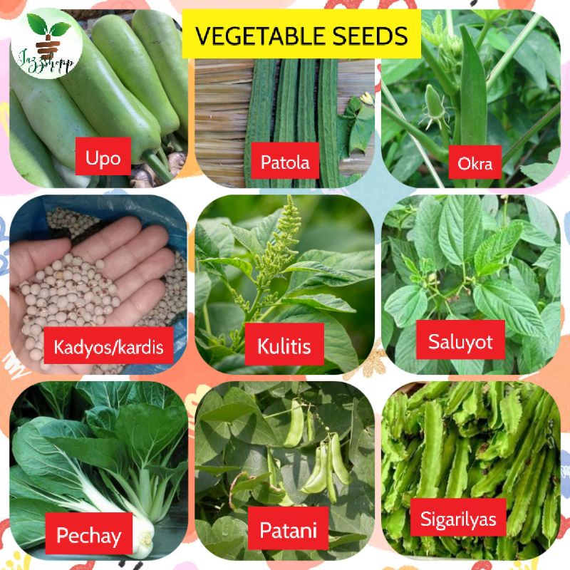 9 in 1 Starter Pack Bundle Vegetable Seeds for planting Sulit pack ...