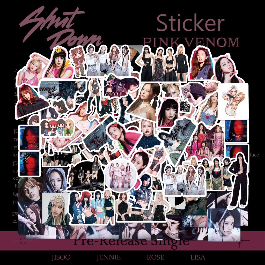 Kpop Blackpink Stickers New Album BORN PINK Handbook Stickers ROSE ...