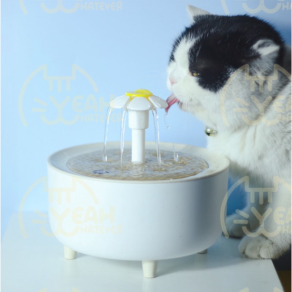 Automatic Water Fountain For Cats Pets Drinking Fountain 2L | Shopee ...
