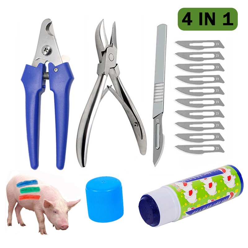 4 In 1 Piglet tool Kit (Piglets teeth cutter + Pig Tail cutter ...