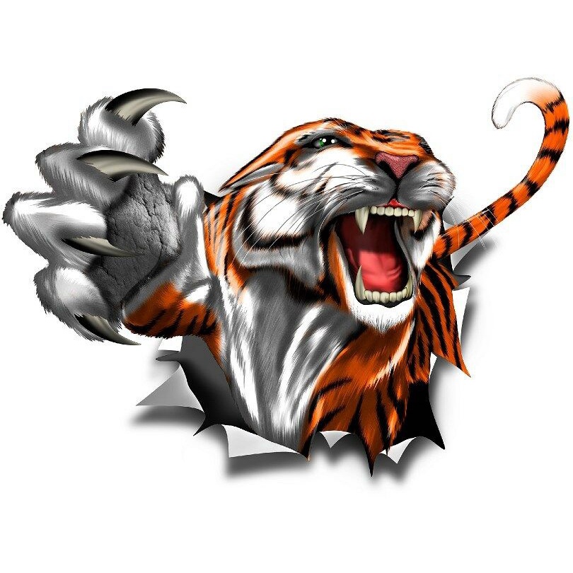 Tiger rip cornhole board game decals | Shopee Philippines