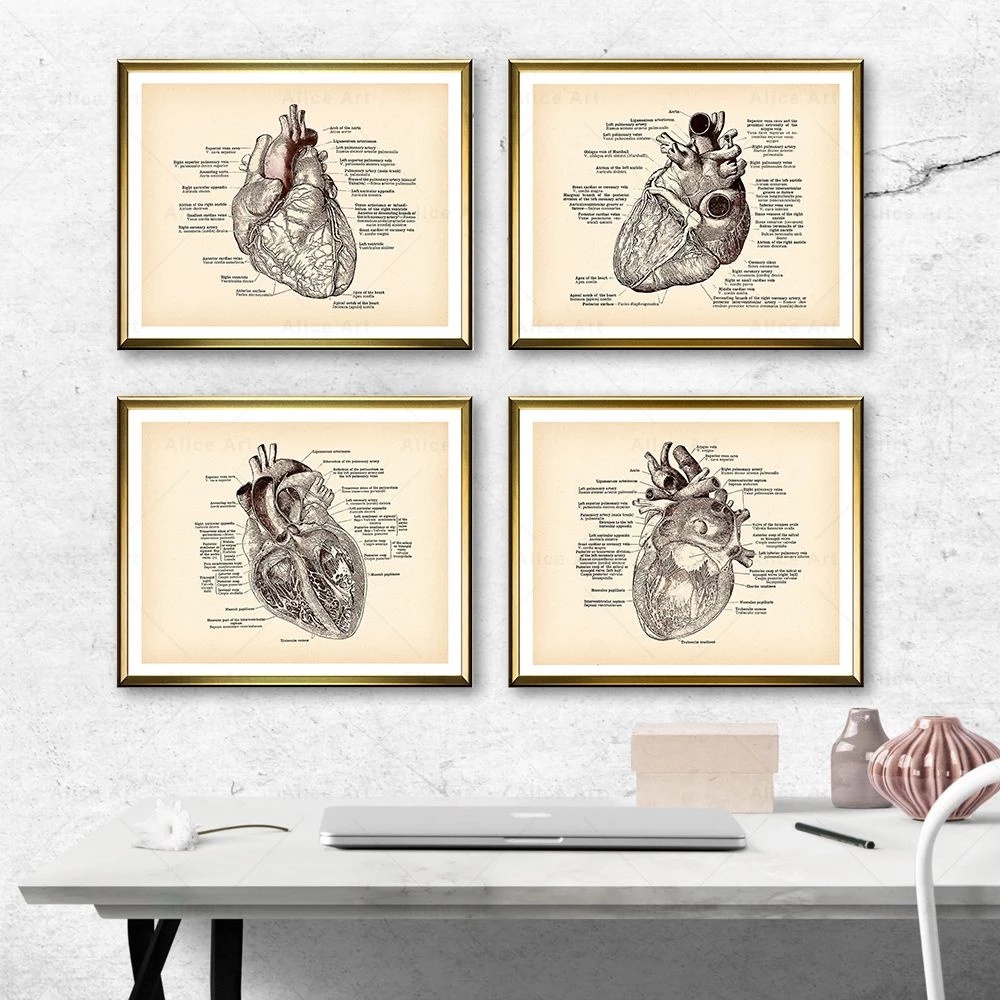 Frameless Vintage Human Heart Anatomy Art Poster Medical Wall Picture ...