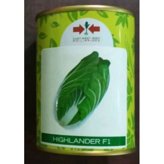 HIGHLANDER F1 HYBRID CHINESE CABBAGE SEEDS 50 GRAMS (EAST WEST ...