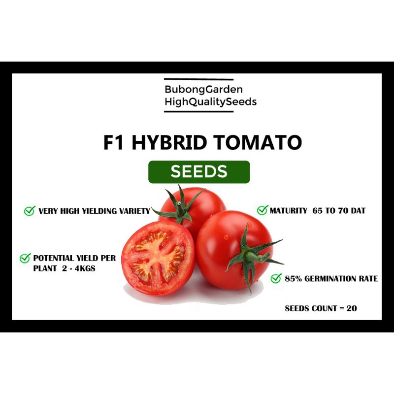 F1 Hybrid Tomato Seeds | Shopee Philippines