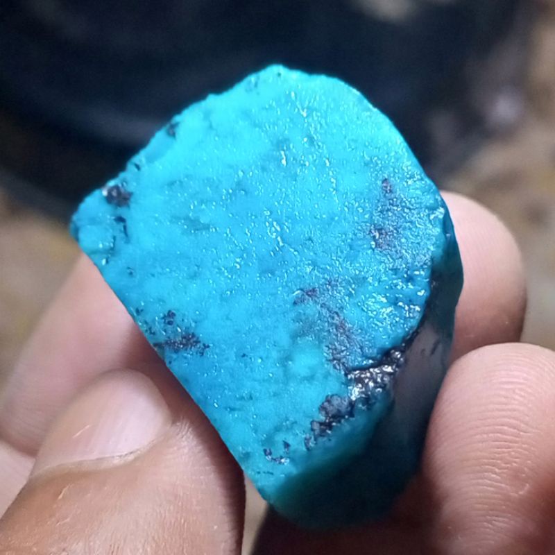 Bacan DOKO - BACAN PALAMEA 100% Original BACAN | Shopee Philippines
