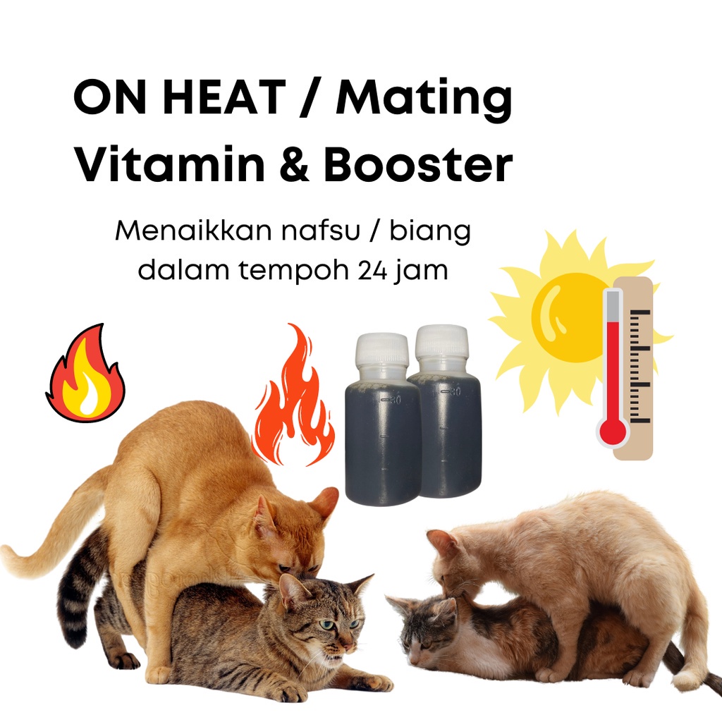 CATHERO Cat Mating Onheat Multivitamin Menaikan Biang | Shopee Philippines