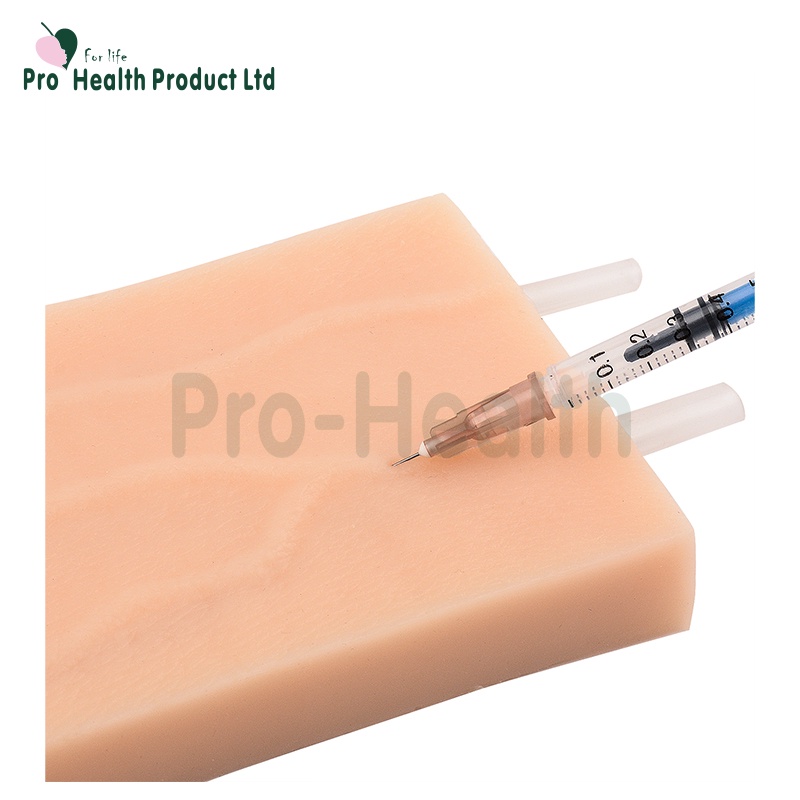 Insertion/IV Injection Venipuncture Training Pad with Simulated ...
