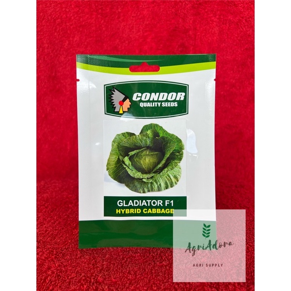 GLADIATOR F1 Hybrid Cabbage Seeds Pack (CONDOR) | Shopee Philippines