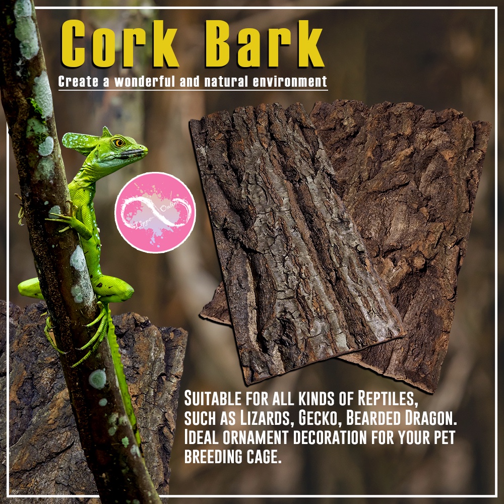 Natural Reptile Bark Cork Bark Hide for Isopods - Reptiles Exotic Pets ...