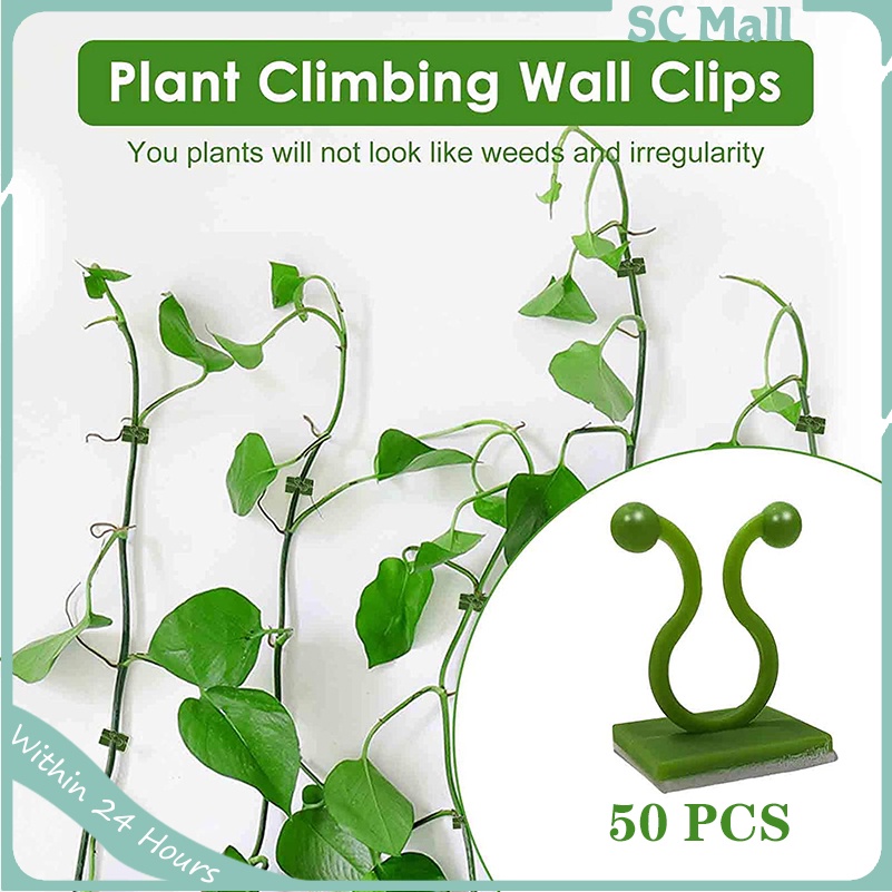 50pcs Plant Clips Self-Adhesive Invisible Wall Vines Fixture Supports ...