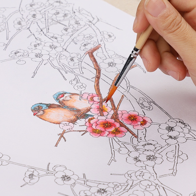 ~Watercolor Line Draft Line Drawing Coloring Book Meticulous Painting ...