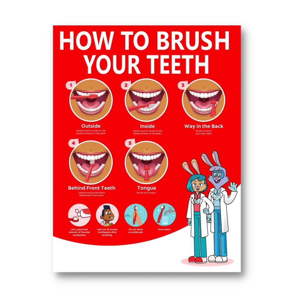 LAMINATED BRUSH YOUR TEETH CHARTS / POSTERS, Educational Charts for ...