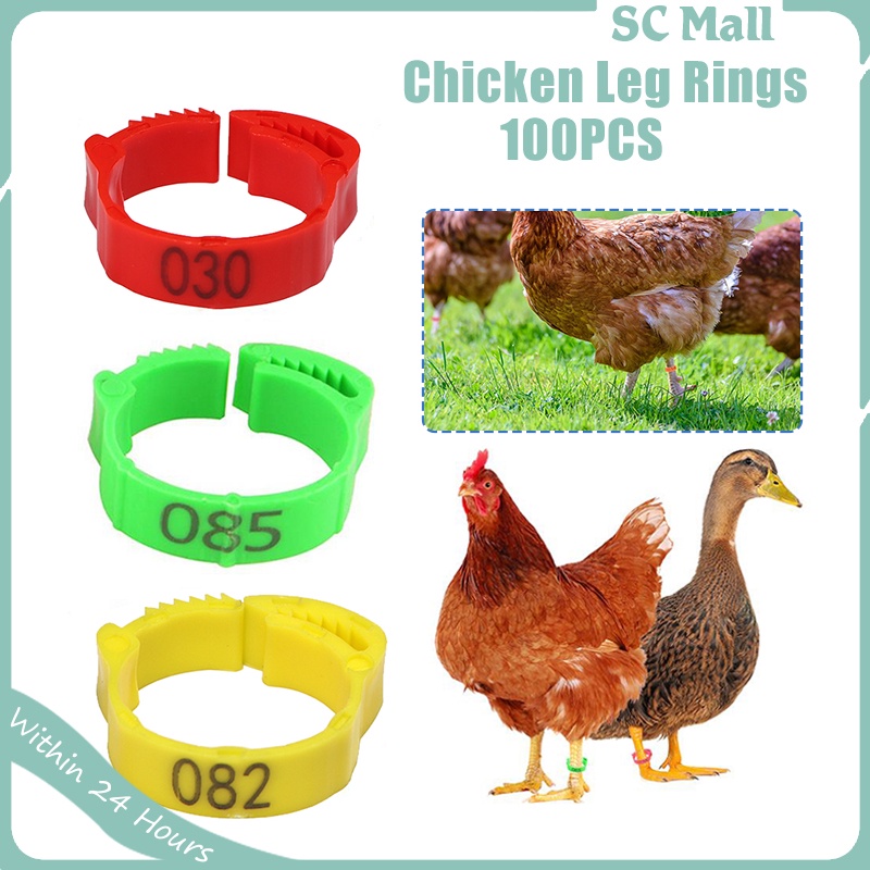 100 Pcs Adjustable Identification Chicken Leg Rings Multiple Colour ...