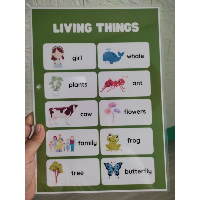 Educational learning chart for kids Laminated A4 Size SCIENCE | Shopee ...