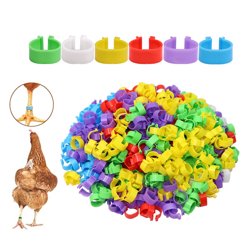 16mm Clipon Chicken Ankle Ring Multiple Color Chicken Leg Rings ...