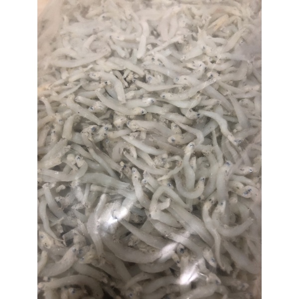 Small TERI Fish (BUT BUT) 1 Kg | Shopee Philippines