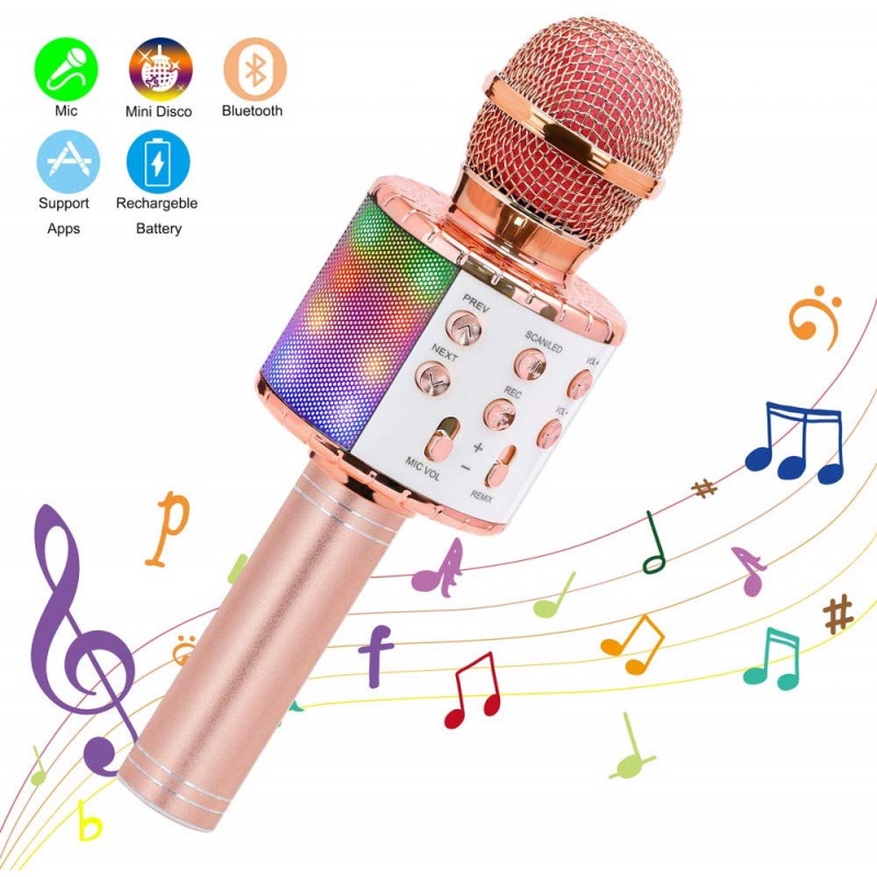 Portable Bluetooth Wireless Karaoke Microphone, Microphone with Speaker ...