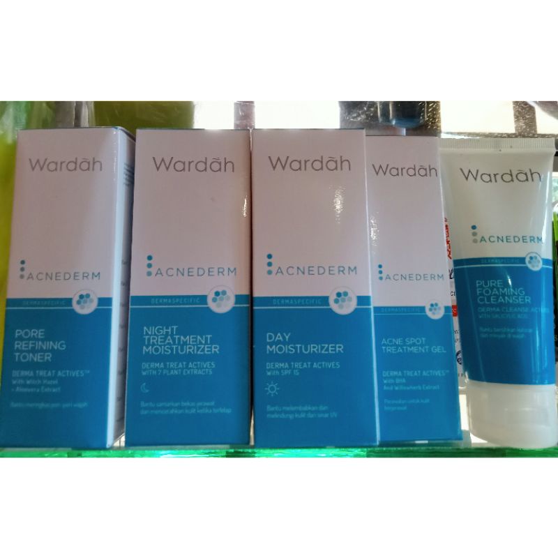 Wardah Acnederm Complete Package (pure Foaming Cleanser, pure repining ...