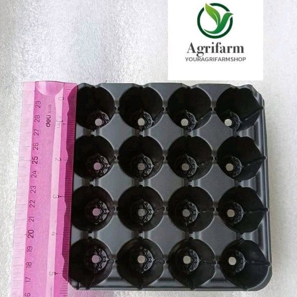 Seedling Tray 16 Round Holes For Beginners (Cut from 128 Round Holes ...