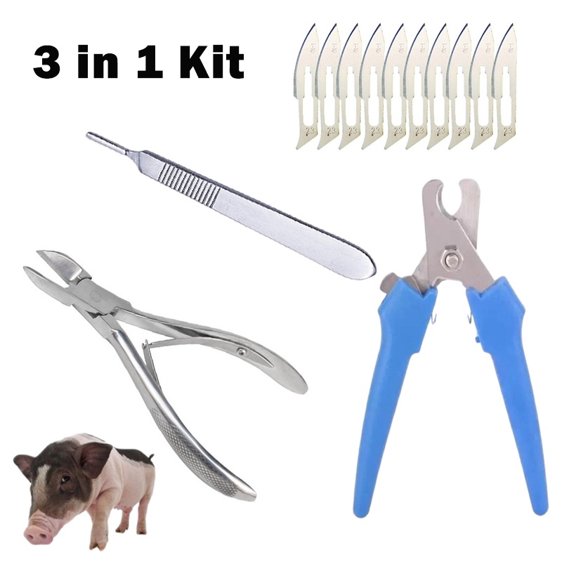 Piglet 3 in 1 Tool Kit Stainless piglet teeth cutter/Manual tail cutter ...