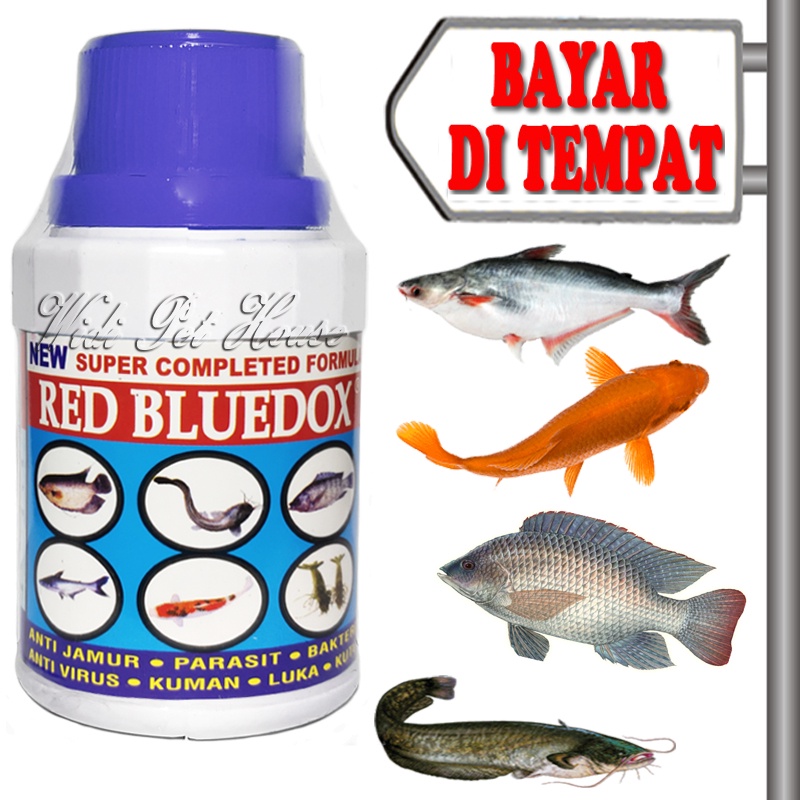 Anti Virus Bacteria Fish Mushroom Medicine Red Bluedox Wound 250 ml ...