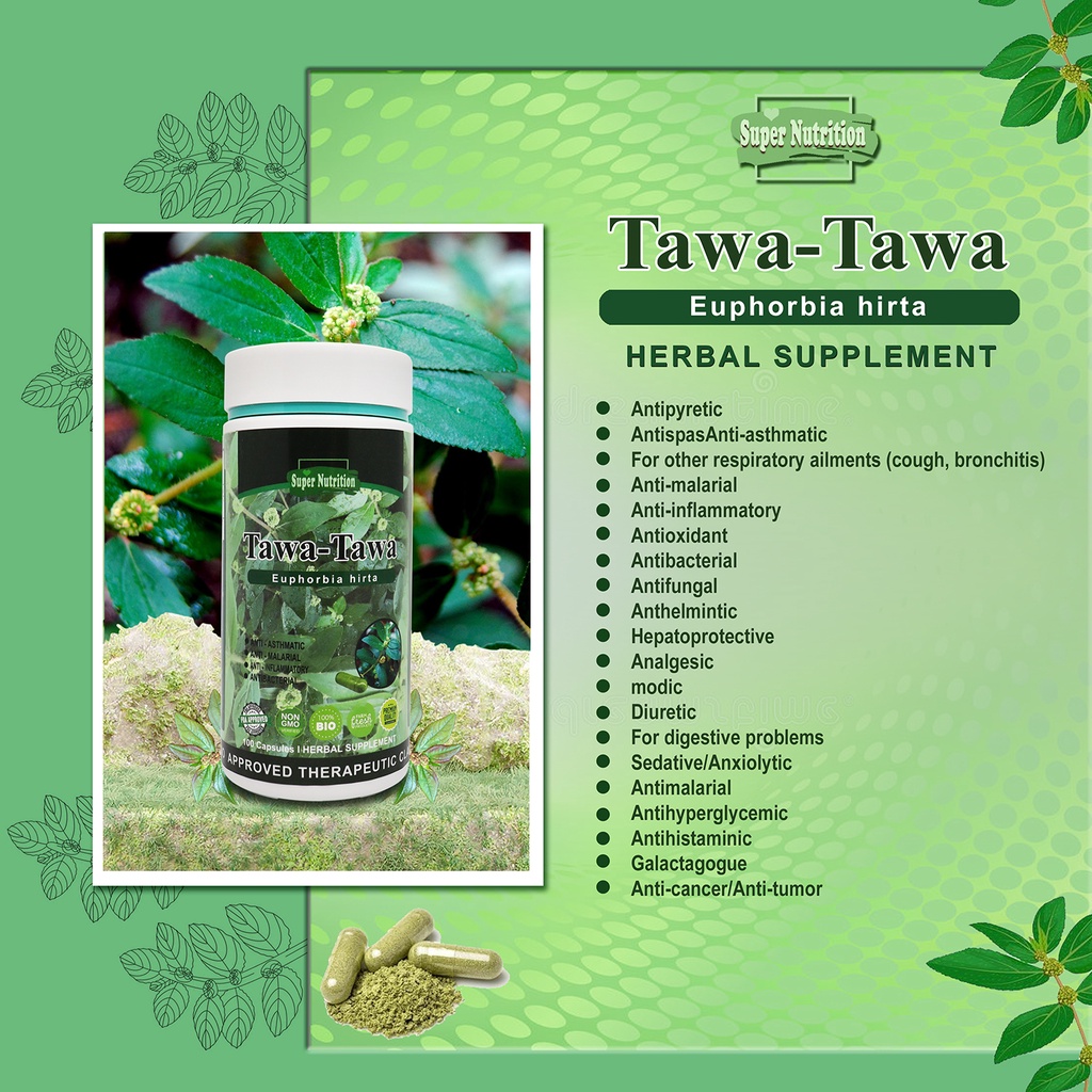 Authentic Herbal Supplement Tawa-tawa 100 Capsules/Bottle (Euphorbia ...