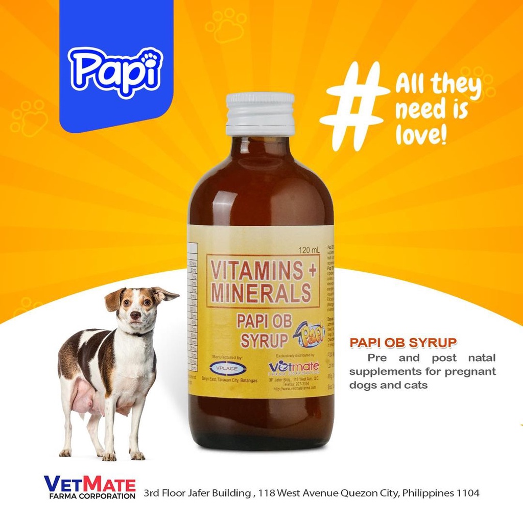 Papi OB Syrup (Vitamins, Minerals) (120 ml) | Shopee Philippines
