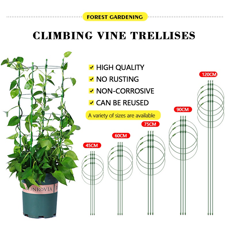 Climbing vine trellis, plant support poles, columns, iron wires, flower ...