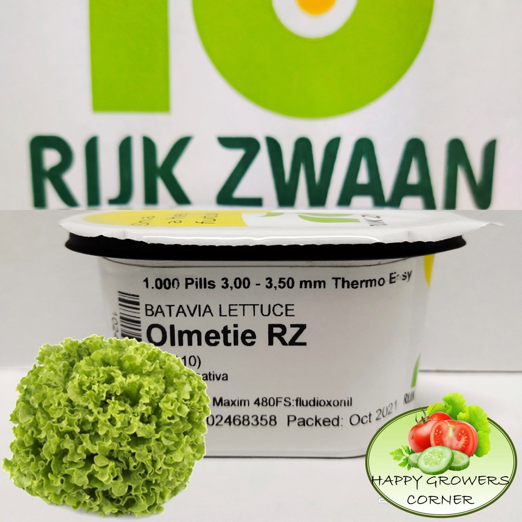 Olmetie RZ Green Batavia Lettuce by RIJK ZWAAN (1,000 pills /Original ...