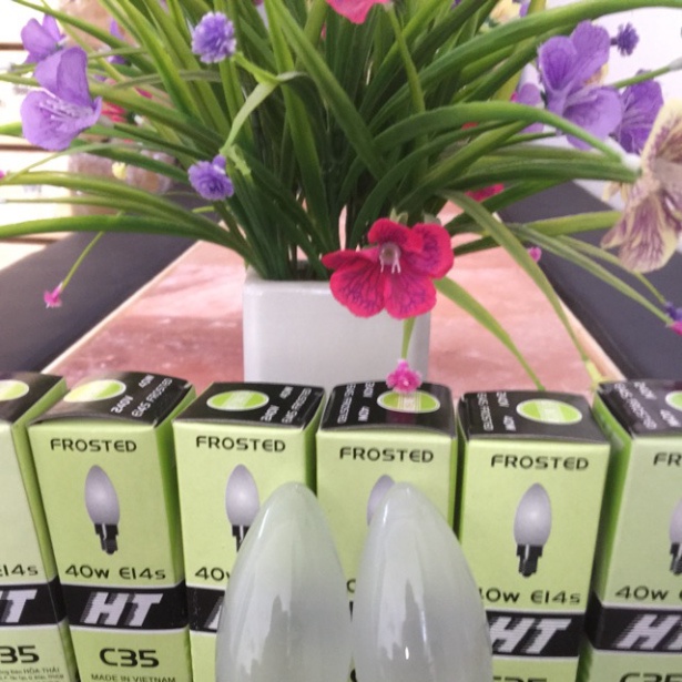 Genuine HT Salt Soccer Bulb (2 Bulbs) | Shopee Philippines