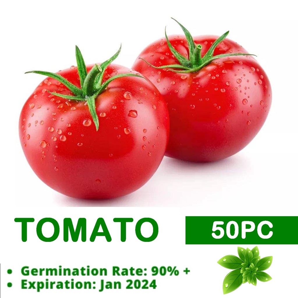 Vegetables Seeds kamatis talong pechay ampalaya sigarilyas upo lettuce ...