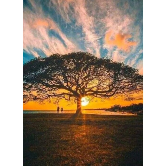 LAMINATED WALL DECOR SCENERY A4 SIZE | Shopee Philippines